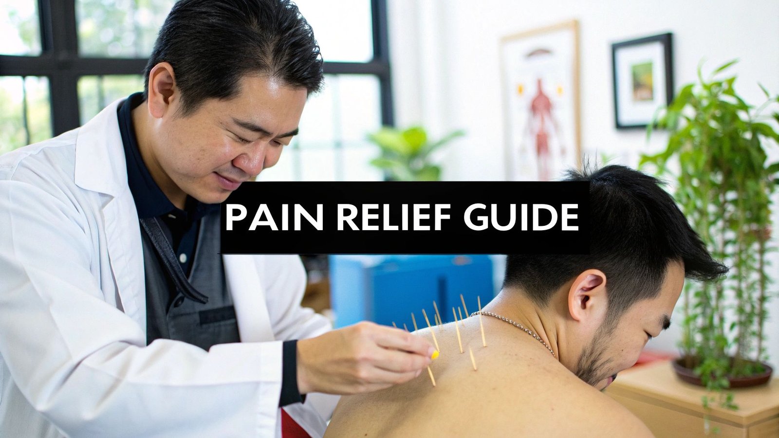 Acupuncture for Chronic Pain A Practical Guide - Eric Tsai Acupuncture & Herbs